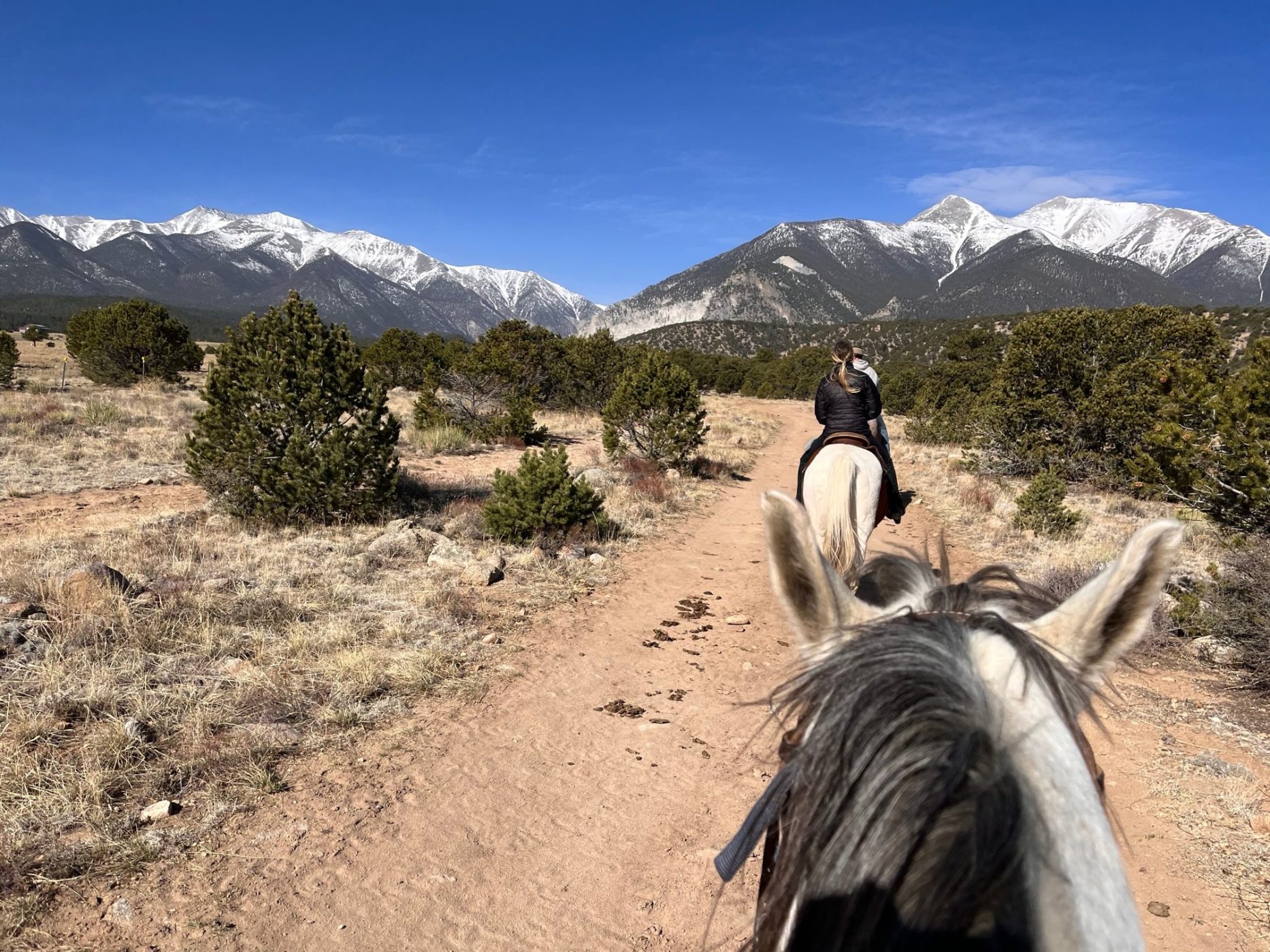 Rocky Mountain Trail Rides | Mt. Princeton Hot Springs Stables